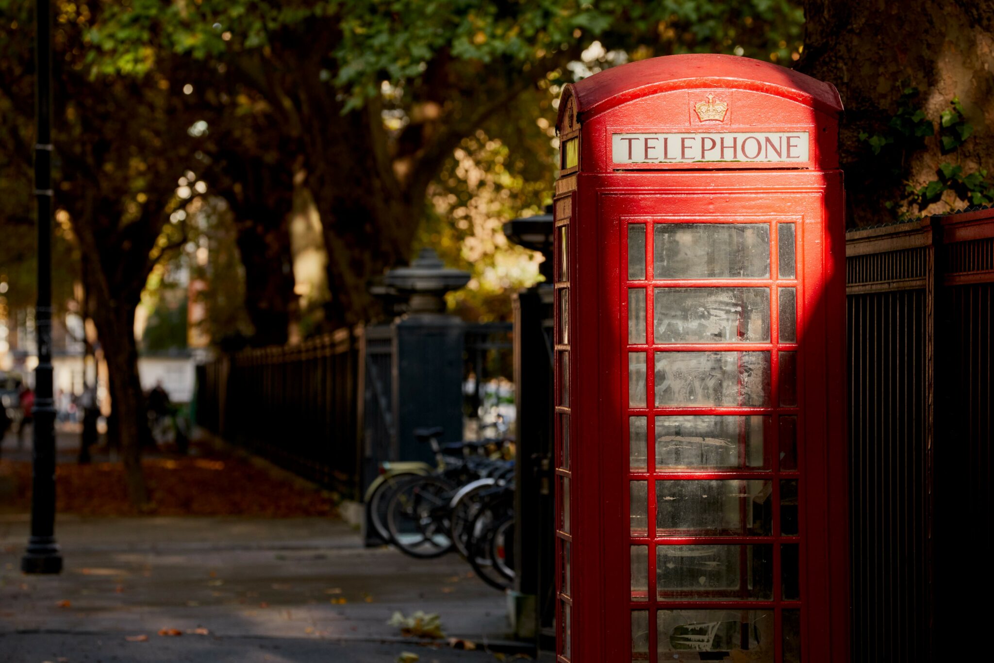 Law Courses and Degrees London | BIL